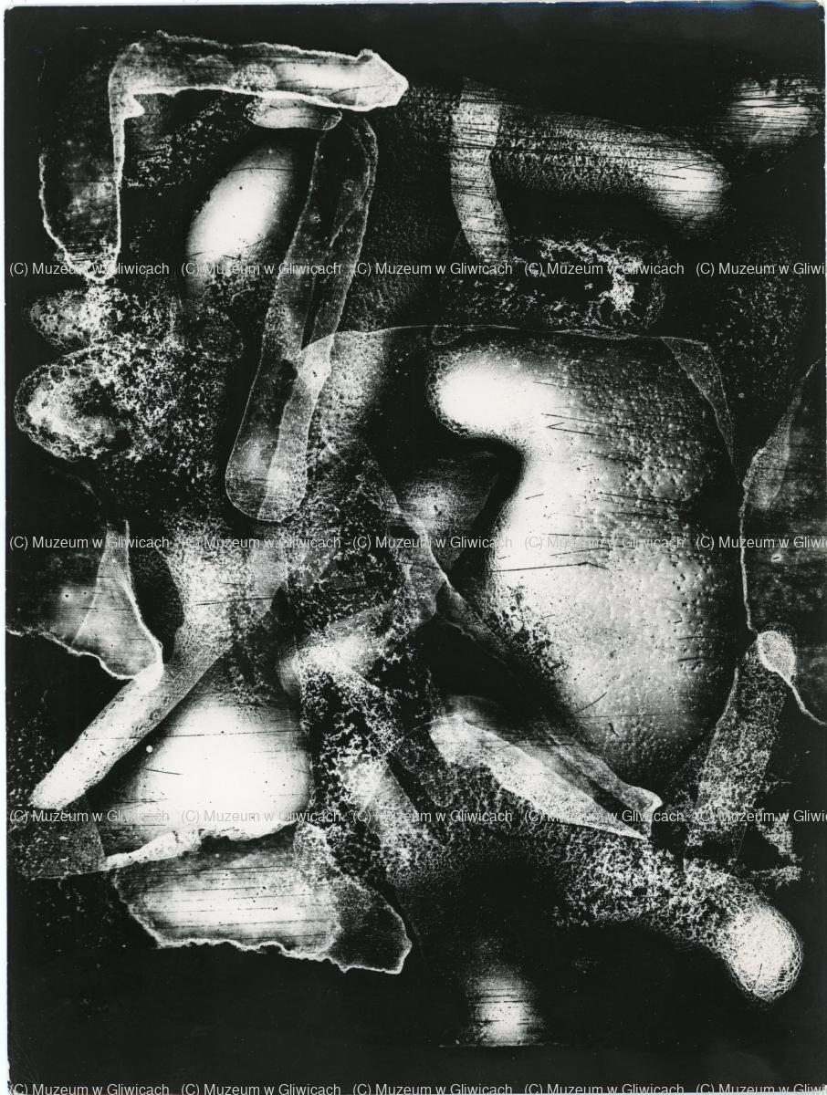 Fotogram 69 - Muzeum w Gliwicach